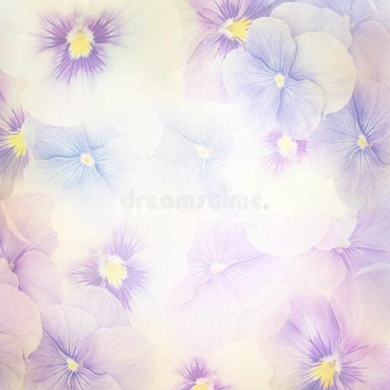 Violet Flowers Background stock image. Image of plants - 78208511