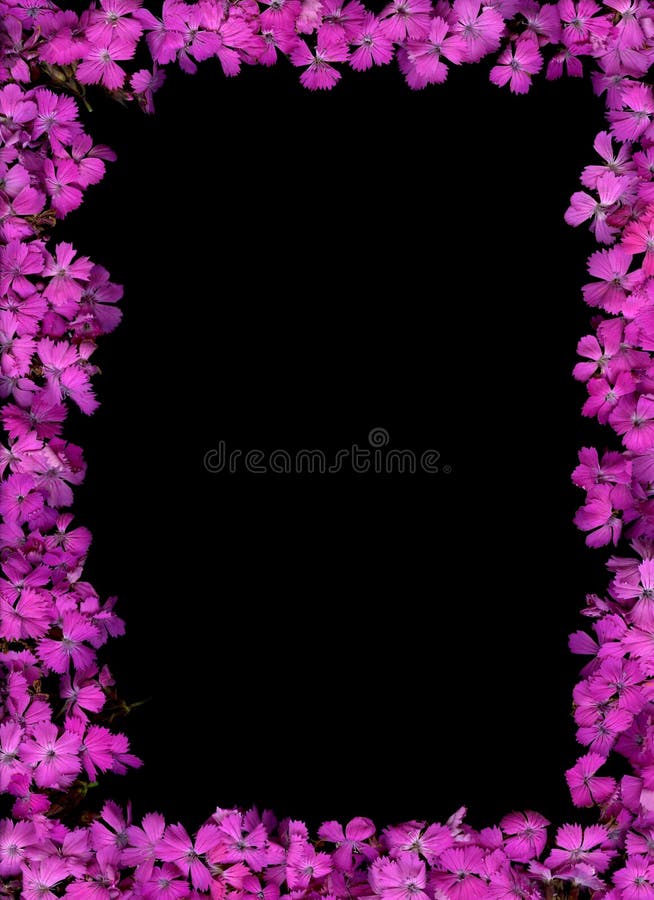 Violet flowers frame stock photo. Image of frame, clip - 24863472