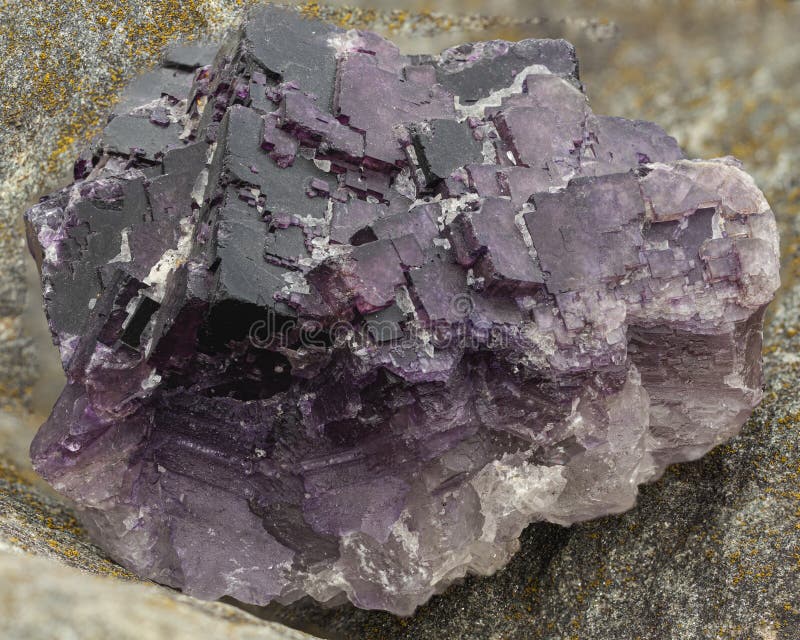Violet Fluorite, Macro Detail, Texture Background. Semi-precious ...