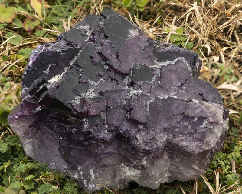 Violet Fluorite Mineral Sample Close-up Stock Image - Image of precious ...