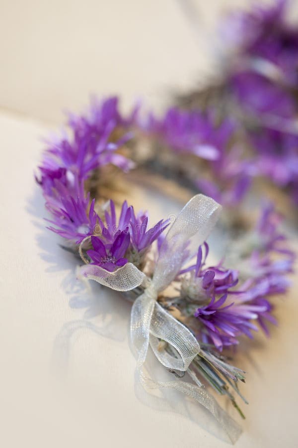 Violet garland stock photo. Image of diary, album, reading - 21887274