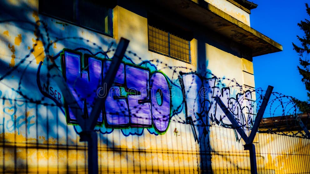A Violet Graffiti on a Yellow Wall Behind Barbed Wire Editorial Stock ...