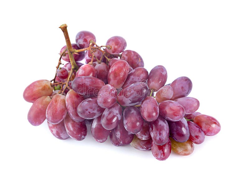 Violet grape berry stock photo. Image of harvest, natural - 45190350