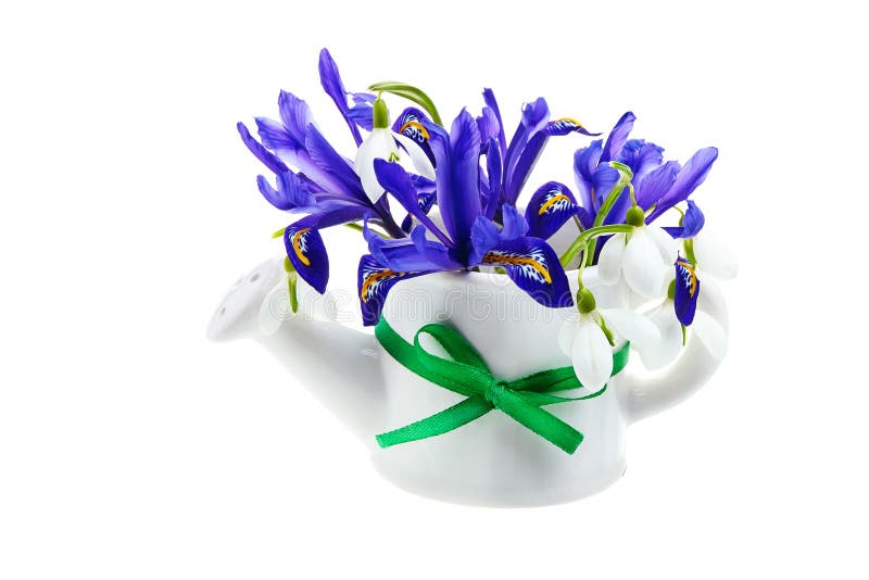 Snowdrop White Flowers Spring Background Stock Image - Image of ...