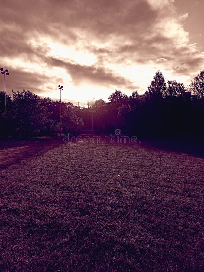 Violet Landscape with a Sunrise a Park and Trees in Bologna Stock Image ...