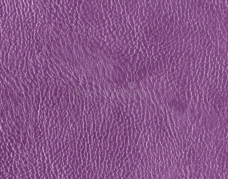 Violet leather texture. stock photo. Image of grained - 78410610