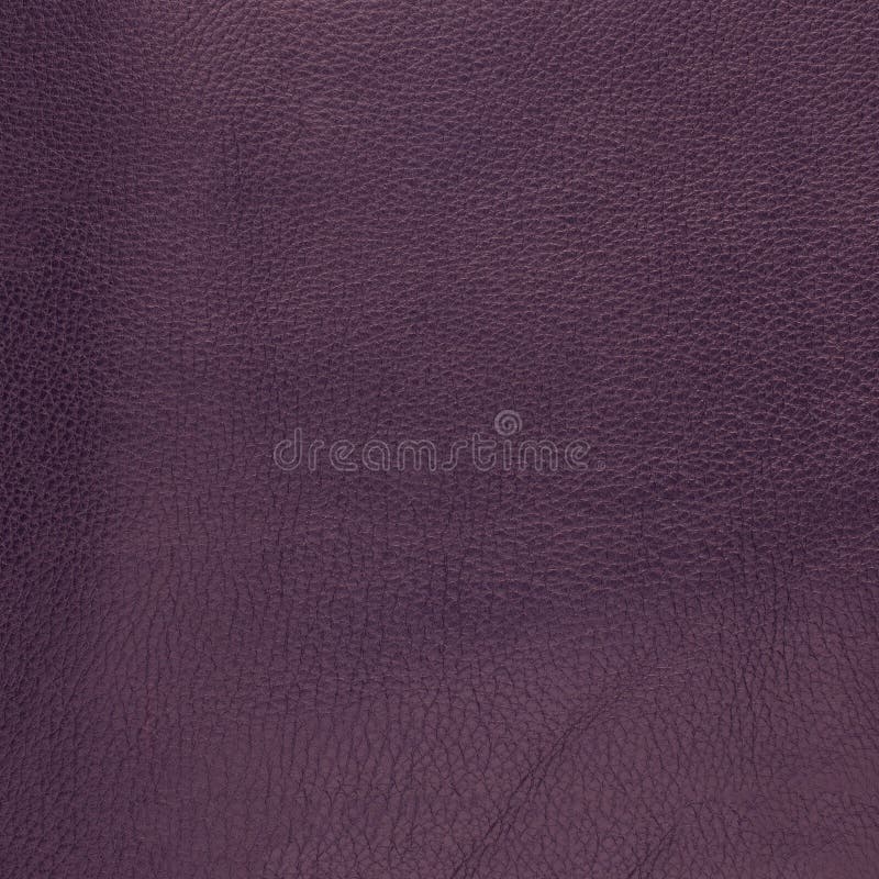 Violet leather texture stock photo. Image of quality - 107087442