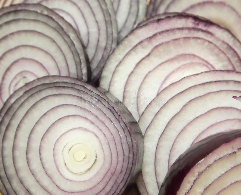 Violet onion stock image. Image of fine, fresh, vegetables - 37651737