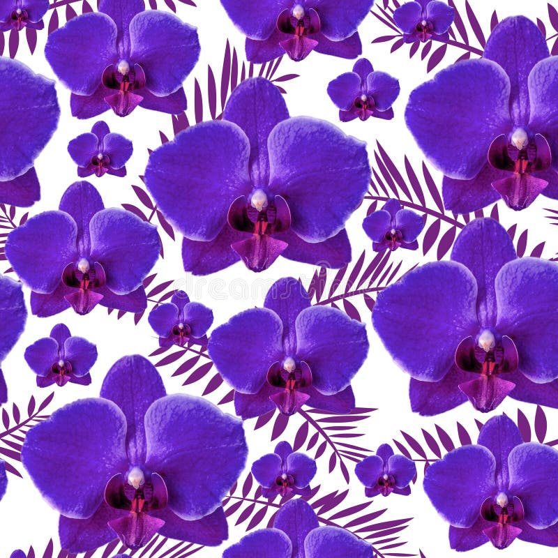 Violet Orchid with Long Leaves Seamless Pattern on White Stock Photo ...
