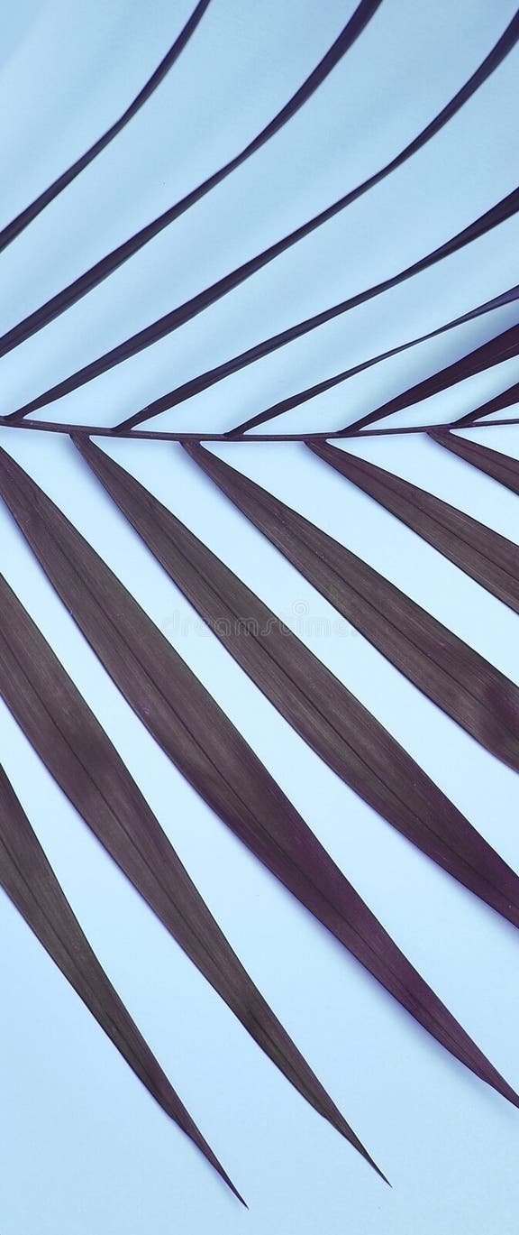 Palm Tree on Blue Background. Stock Image - Image of concept, green ...