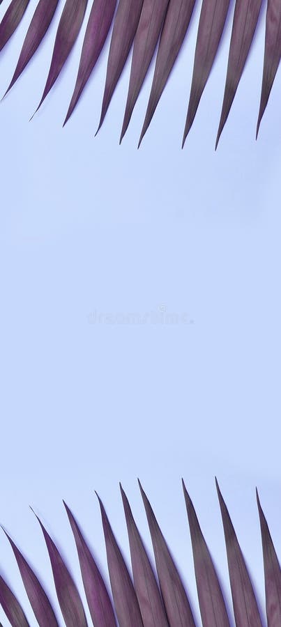 Palm Tree on Blue Background. Stock Image - Image of violet, color ...