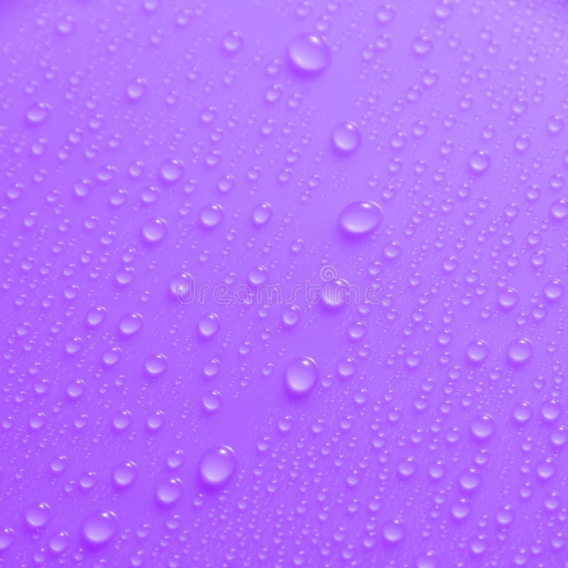 Violet Pastel Water Drops on Light Shiny Surface Stock Photo - Image of ...
