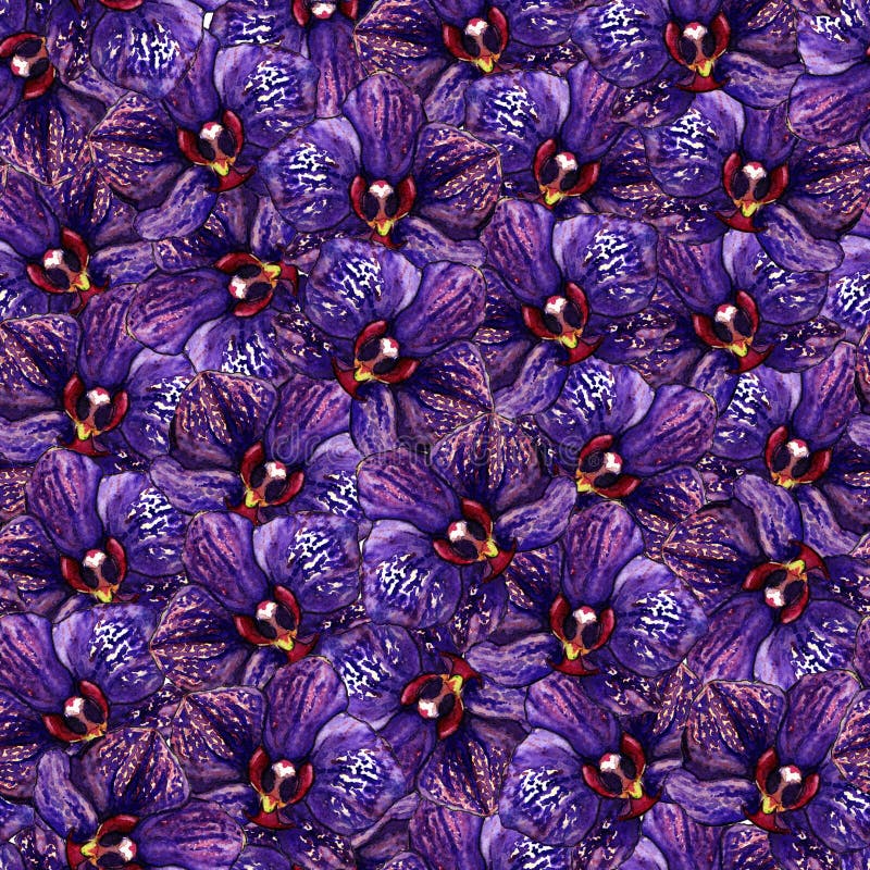 Violet Phalaenopsis Orchid Flower Seamless Pattern Texture Stock Photo ...