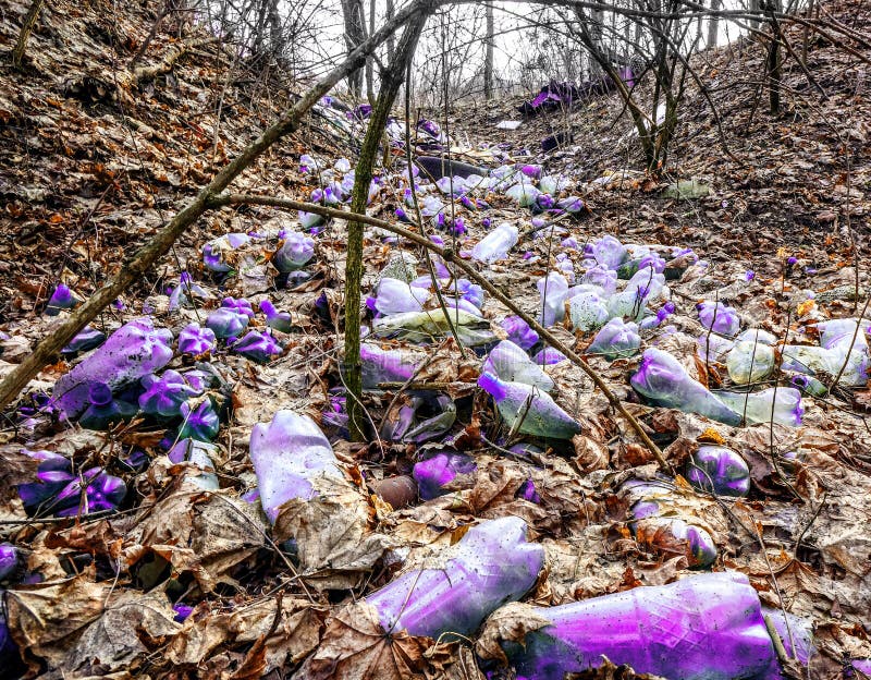 Violet Plastic Bottles Garbage in the Forest Stock Photo - Image of ...