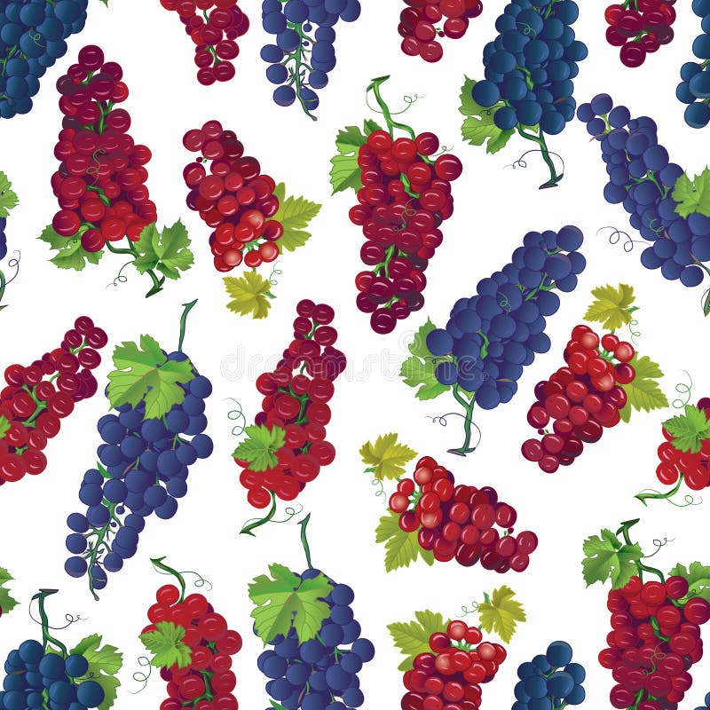 Violet Grapes Vector Seamless Pattern Stock Vector - Illustration of ...