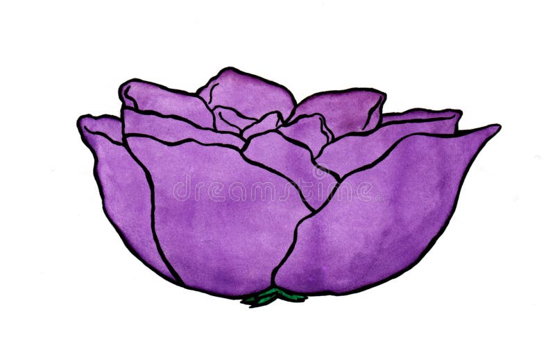 Violet Rose (2007) stock illustration. Illustration of accesoire - 53636238