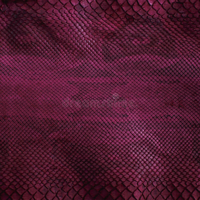 Violet Snake Skin with Pattern, Reptile Stock Photo - Image of design ...