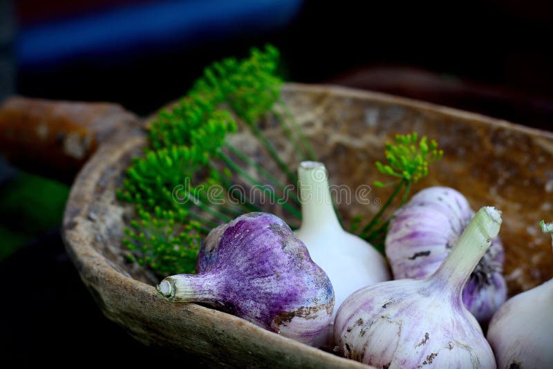 Violet Spring Garlic Rustic Style Stock Photo - Image of plant, clove ...