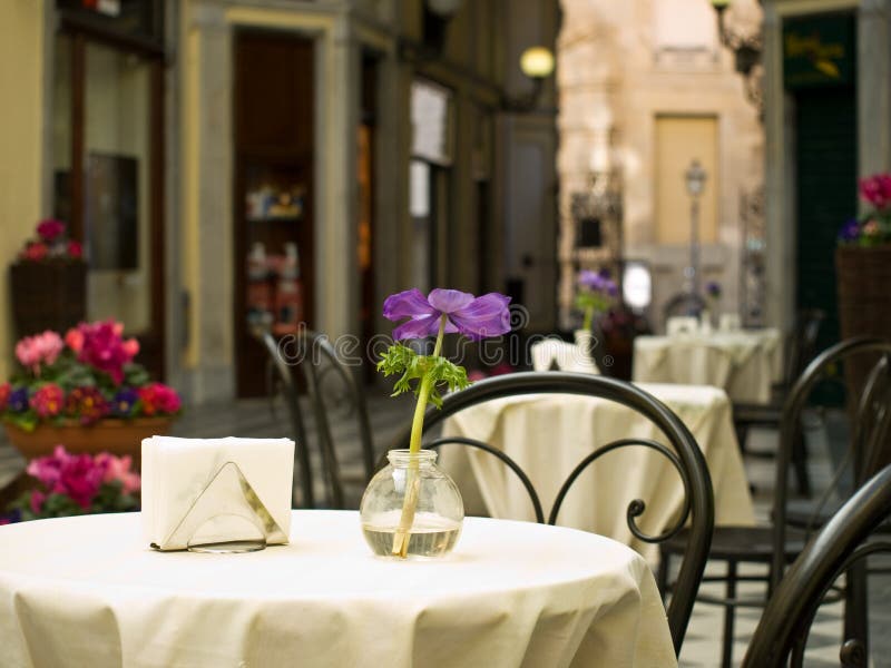 Violet on the table stock image. Image of flower, deor - 13677117