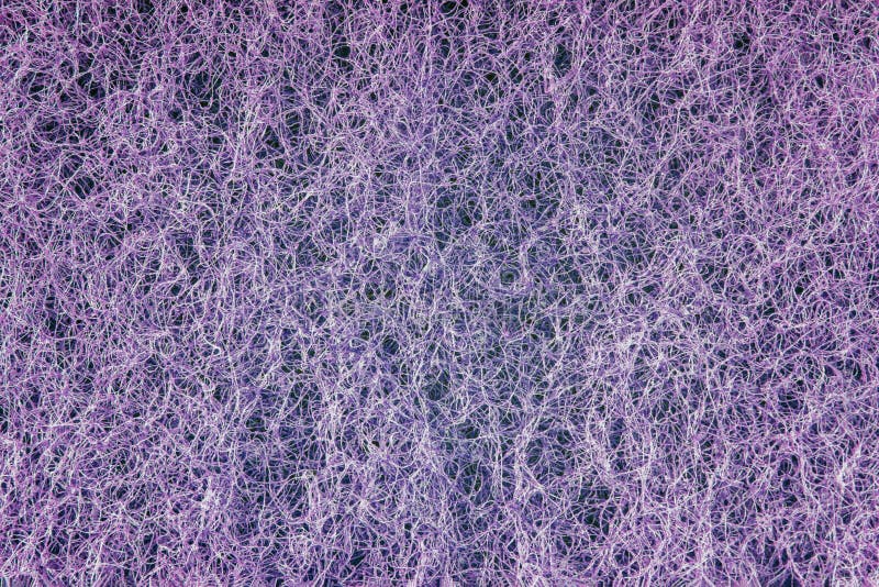 Violet Texture Abrasive Sponge Close Up Scrub Face Stock Photo - Image ...