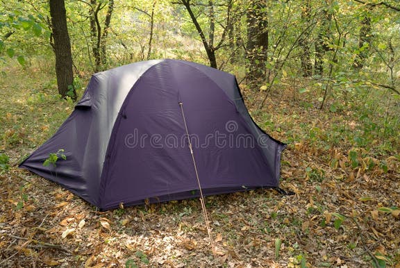 Violet touristic tent stock photo. Image of equipment - 12033196