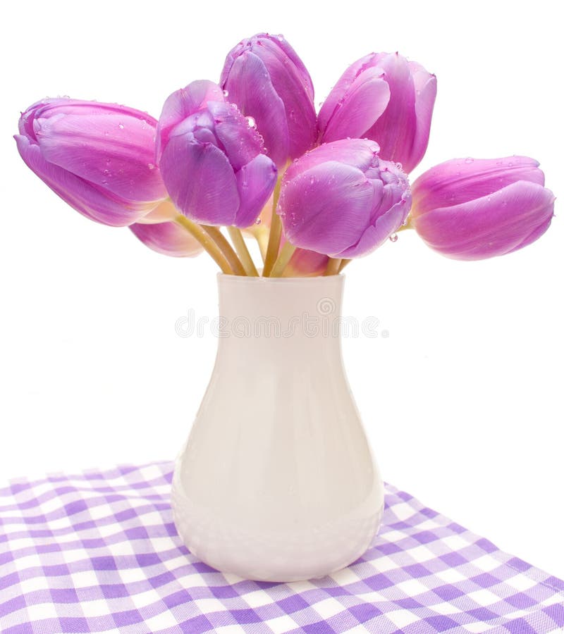 Red and violet tulips stock image. Image of famous, violete - 60391941