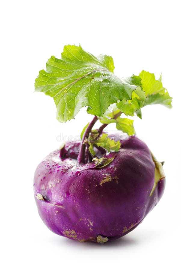 Violet Turnip with Green Top Stock Image - Image of root, kale: 10668381