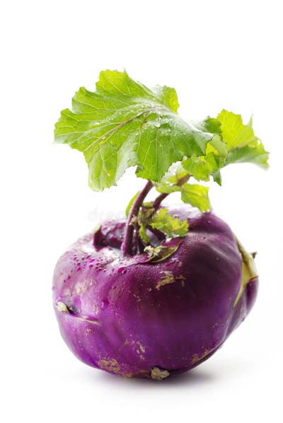Violet Turnip with Green Top Stock Image - Image of root, kale: 10668381