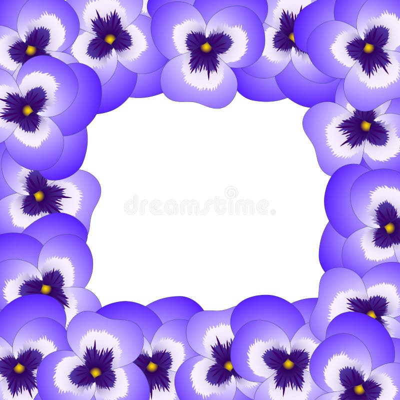 Violet Viola Garden Pansy Flower Border Vector Illustratie Vector ...