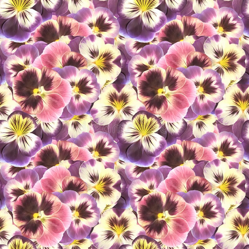 Violet, Viola. Illustration, Texture of Flowers. Seamless Pattern for ...