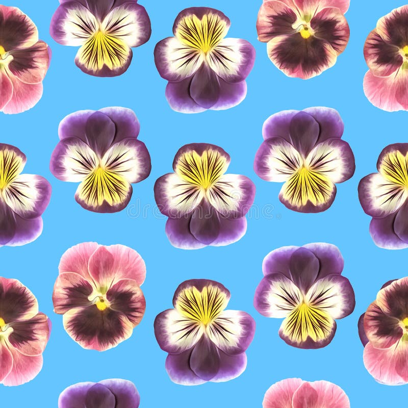 Violet, Viola. Illustration, Texture of Flowers. Seamless Pattern for ...