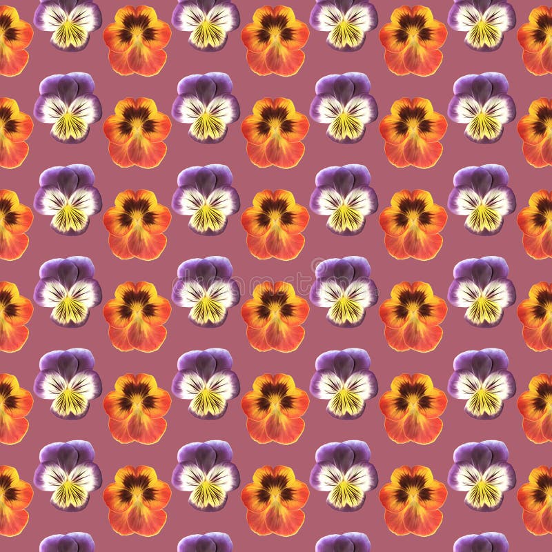 Violet, Viola. Illustration, Texture of Flowers. Seamless Pattern for ...