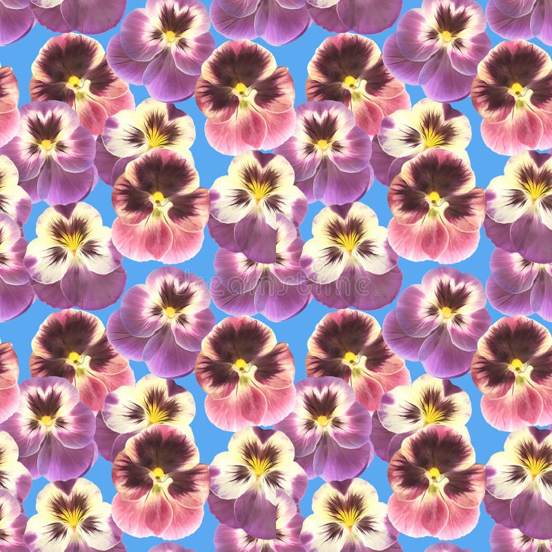 Violet, Viola. Illustration, Texture of Flowers. Seamless Pattern for ...