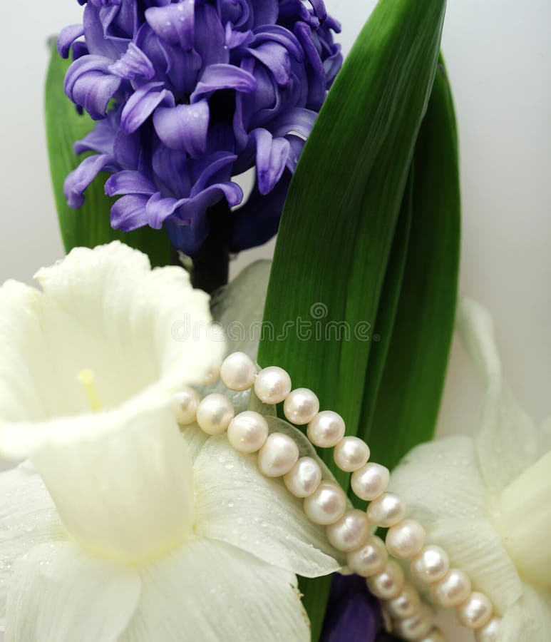 Violet and white flowers stock photo. Image of leaf, april - 37176968