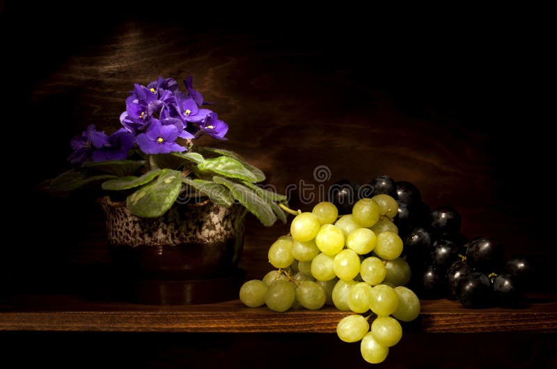 Raisins de cuve violets photo stock. Image du raisin, nature - 228066