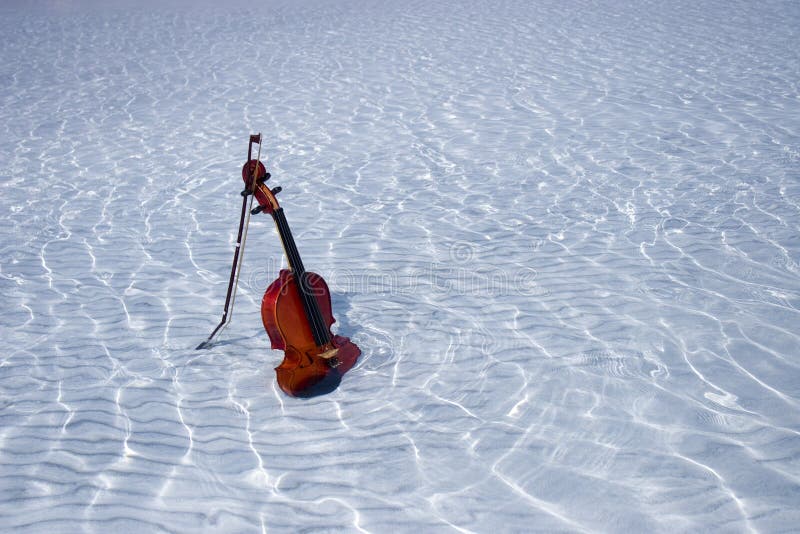 Close Up of a Violin and the Atlantic Seashore Stock Image - Image of ...