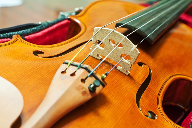 Violin stock image. Image of performing, melody, baroque - 13661175