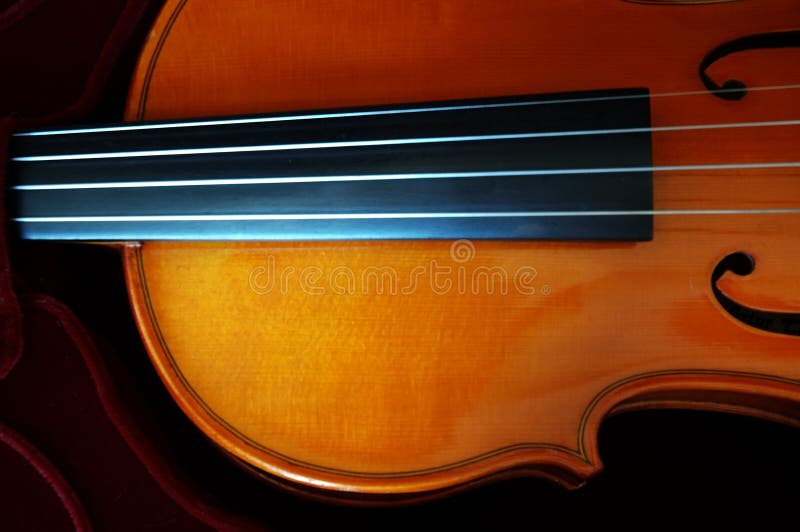 Violin stock photo. Image of tail, music, mellow, melody - 285994