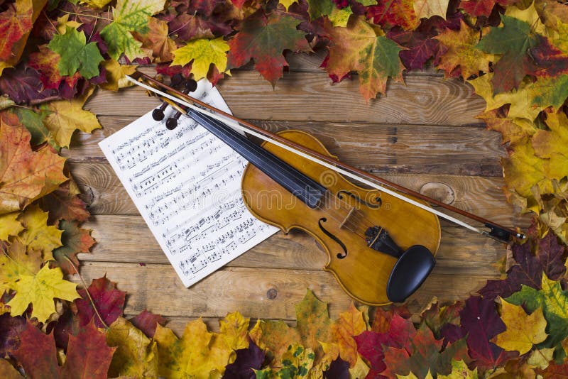 Violin Against the Backdrop of Autumn Foliage Stock Image - Image of ...