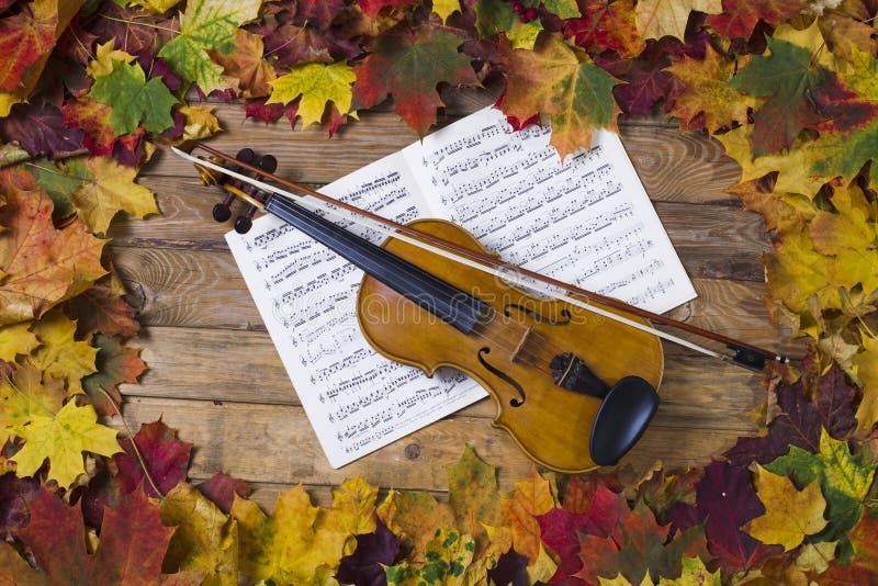 Violin Against the Backdrop of Autumn Foliage Stock Photo - Image of ...