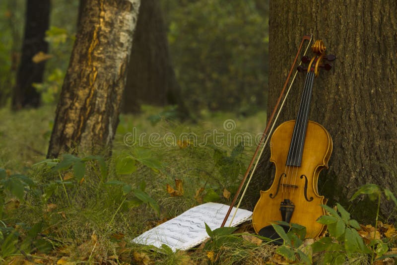 Violin in autumn forest stock image. Image of green, popular - 60265701