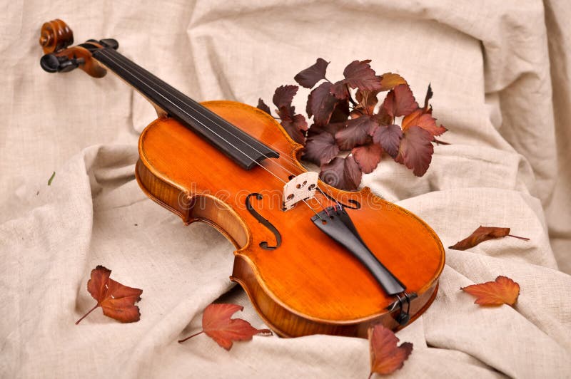 Violin and autumn leaves stock photo. Image of maple - 103218786