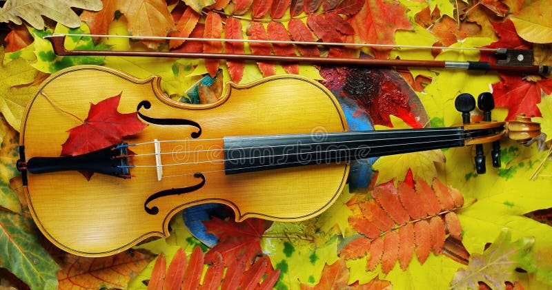 Violin and autumn leaves stock photo. Image of maple - 103218786