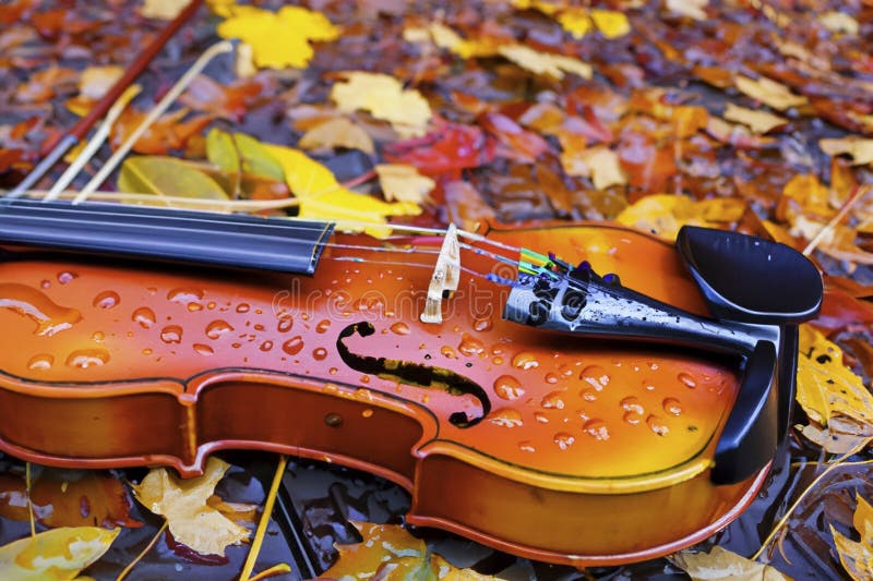 Violin and Autumn stock illustration. Illustration of play - 289118962