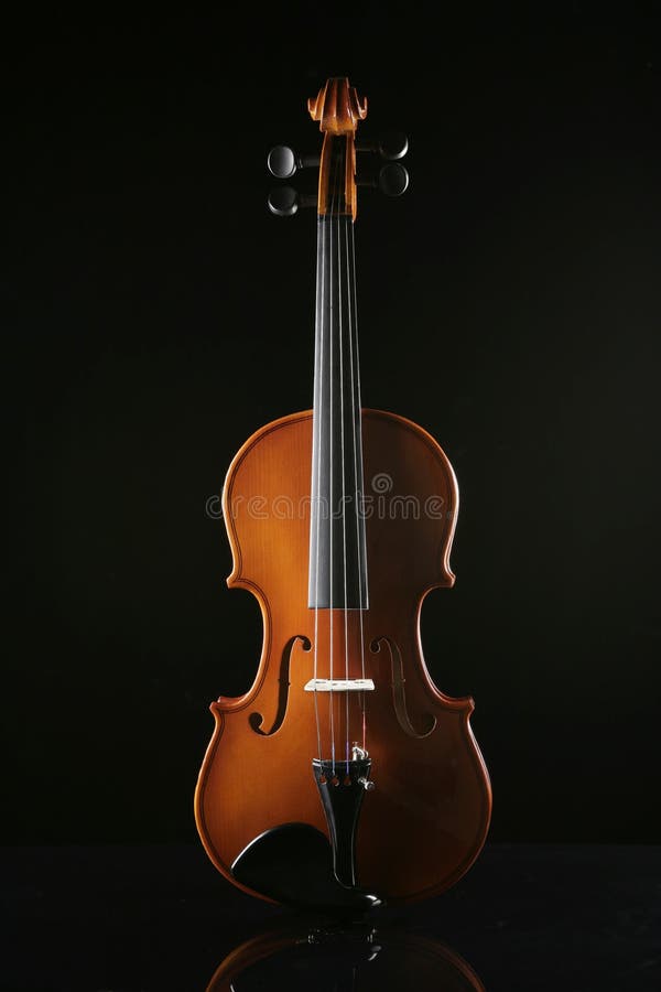 Violin in black and white. stock image. Image of single - 34858947