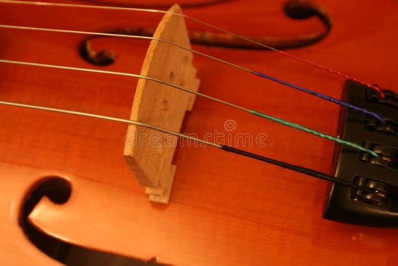 Violin Bridge stock photo. Image of quartet, strings, orchestra - 1670066