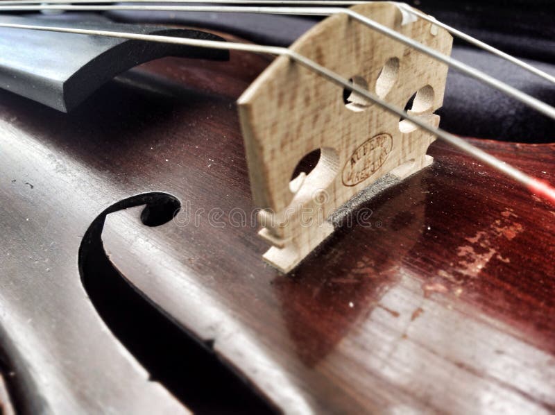 Violin Bridge and Body editorial photo. Image of wire - 44655306