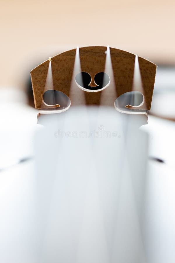 Violin Bridge with Strings Macro Details. Stock Photo - Image of fine ...