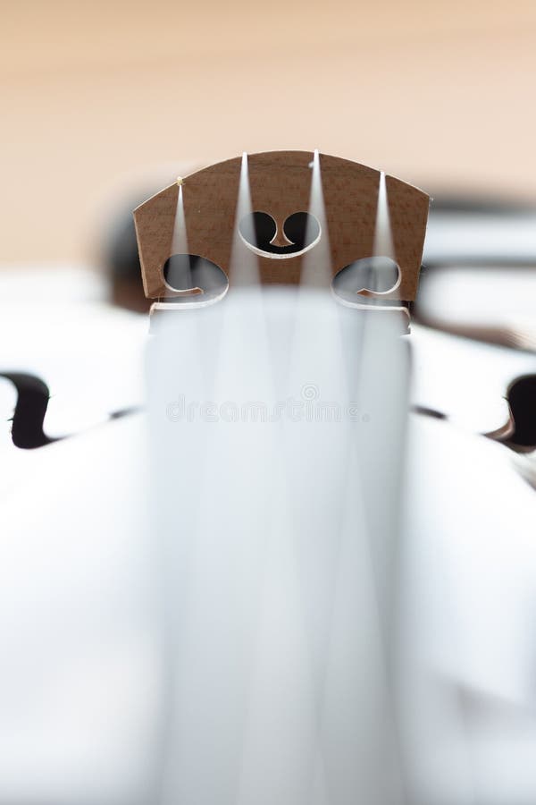 Violin Bridge with Strings. Stock Photo - Image of concert, modest ...