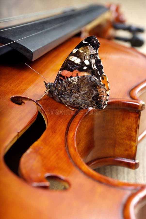 Violin and Butterfly on a Wooden Table. Stock Image - Image of classic ...